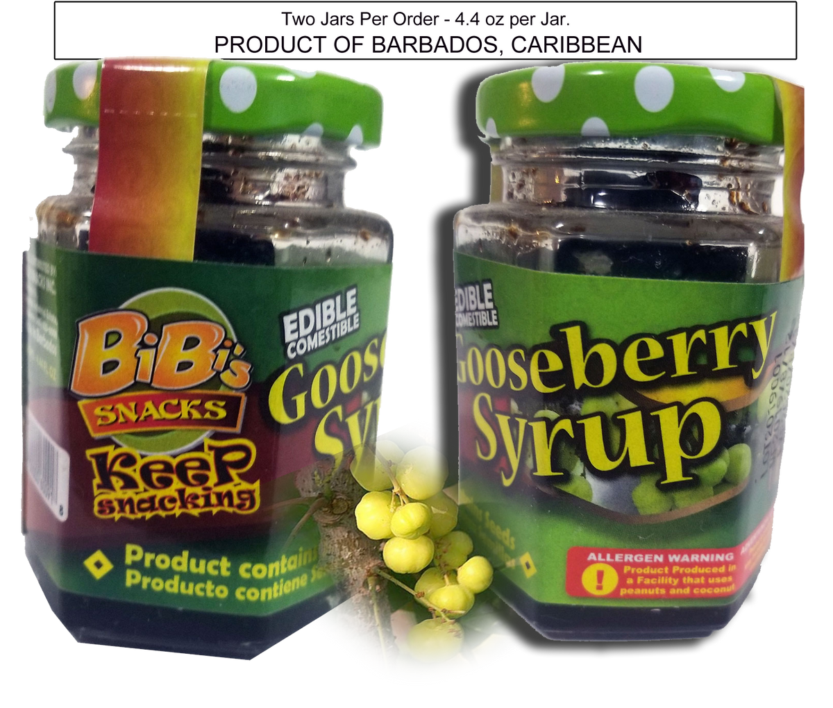 Gooseberry Syrup - Product of Barbados — Grenada Market